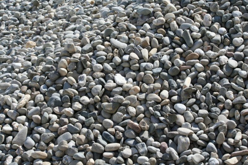 PROCERTUS | Certification that builds trust